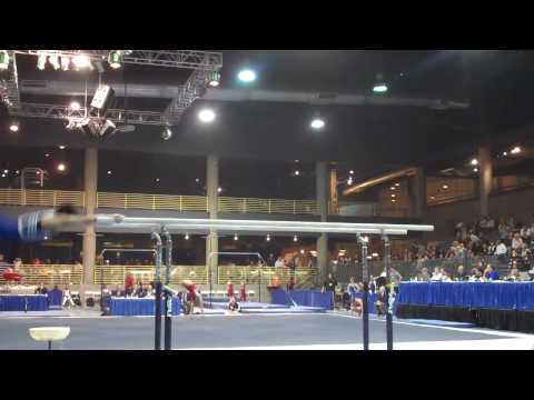 gymnast Jesse Silverstein – Gymnastics Coaching.com