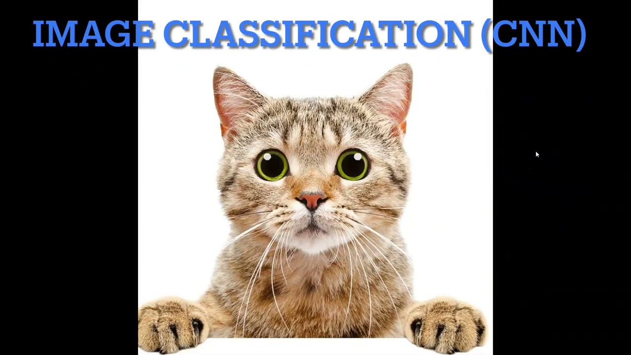 Image Classification using Alexnet & Googlenet