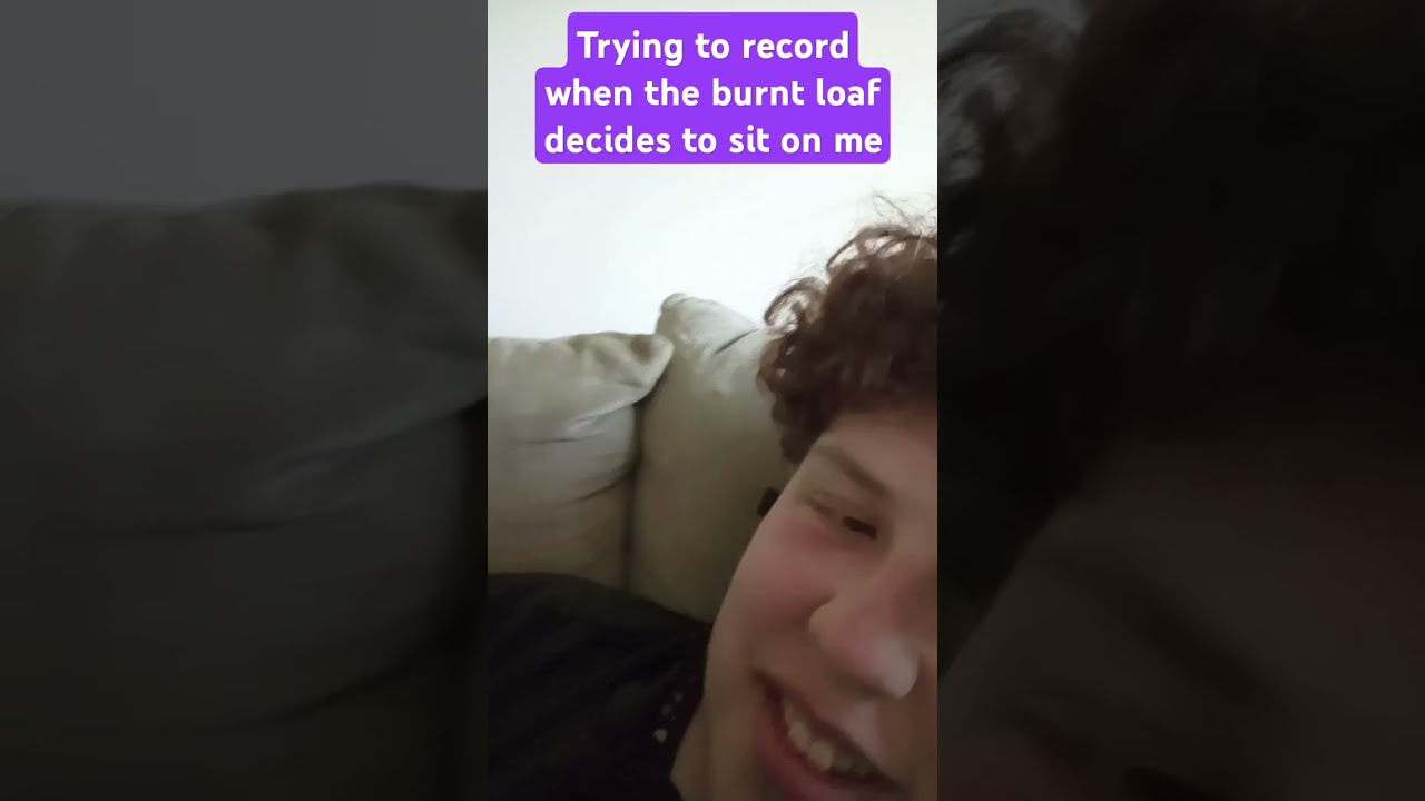 MY LITTLE VOID KIKI RANGER #voidcats #funnycats #blackcats #cats