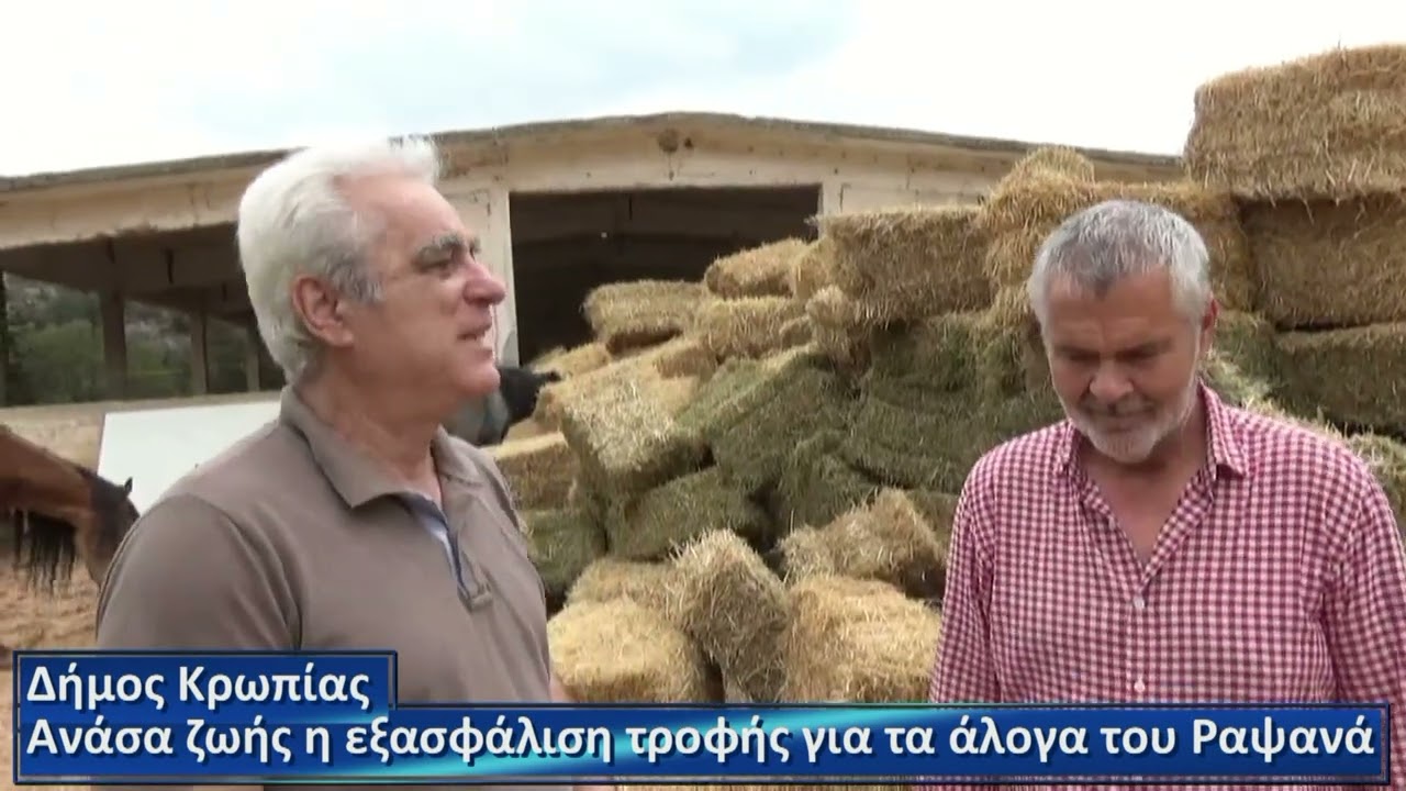 Δήμος Κρωπίας: Ανάσα ζωής η εξασφάλιση τροφής για τα άλογα του Ραψανά ...