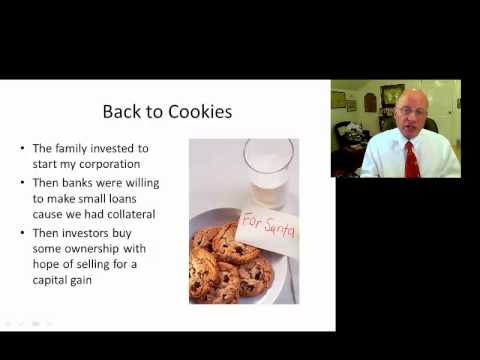 Capitalism and Legal Forms of Business