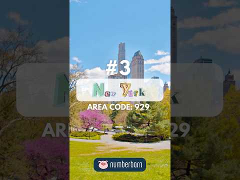 It’s 929’s time to shine! Get a catchy custom NYC 929 today, starting at just $5! #newyork #areacode