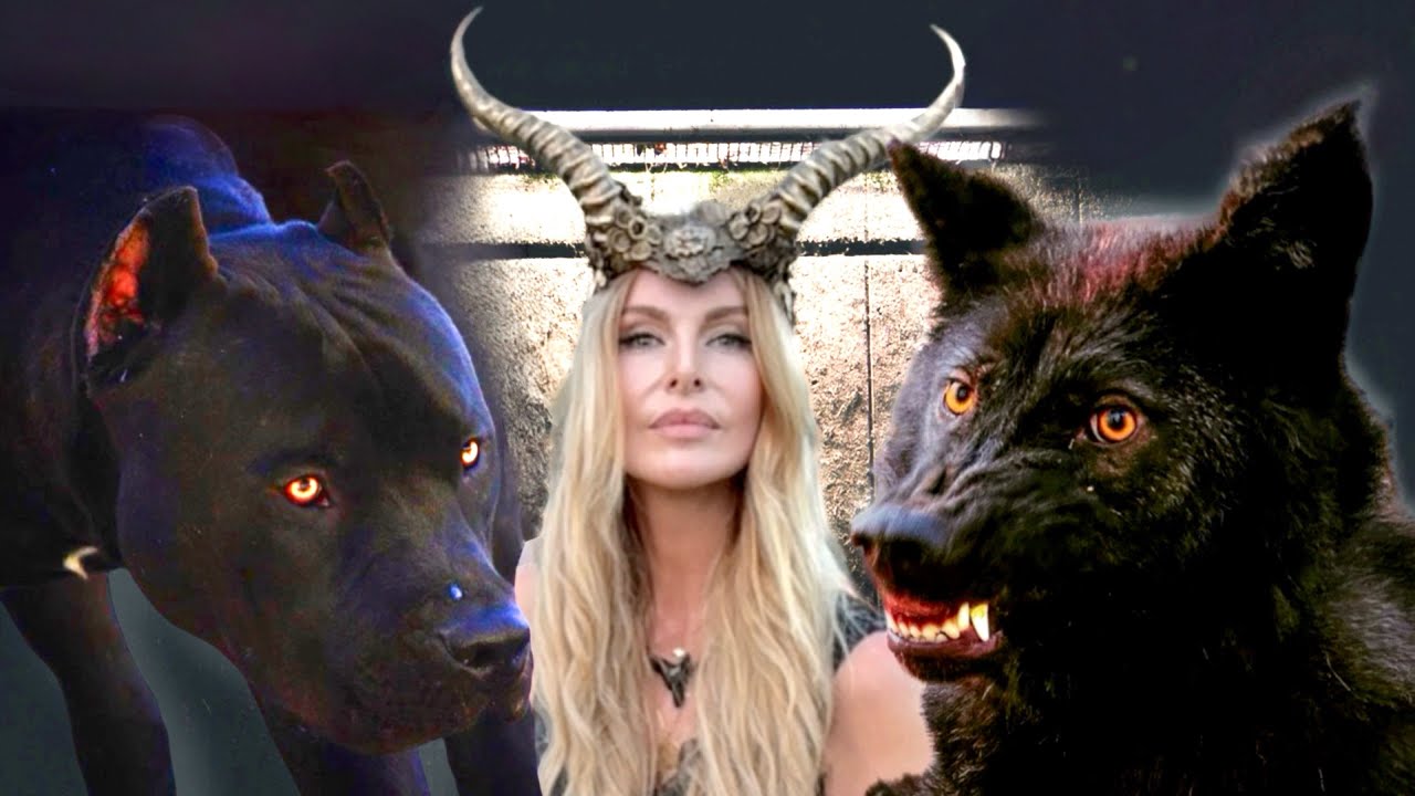 DOGS THAT LOOK LIKE HELL HOUNDS - Cane Corso, Malinois, Presa Canario, Borz Hound, Wolfdog, Xolo