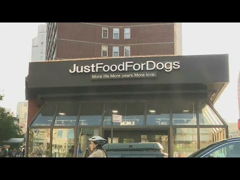 Cafe for dogs opens in NYC