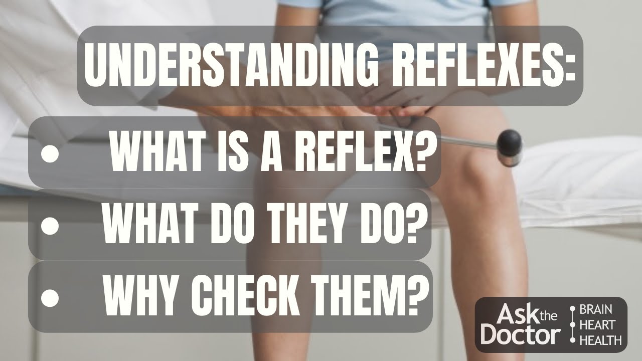 What is a reflex?