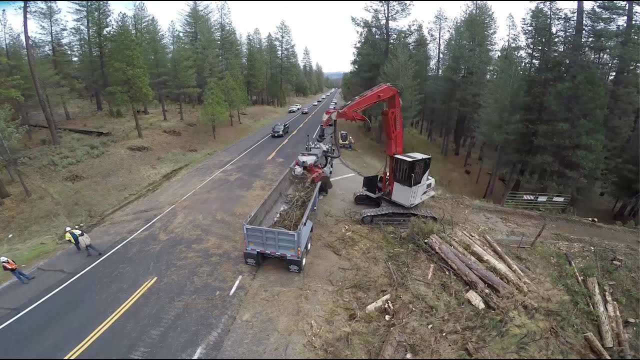 The Forest Resilience Bond