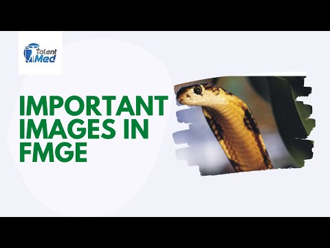 Important images in FMGE | Most Expected Images in FMGE/NEET-PG | DMA