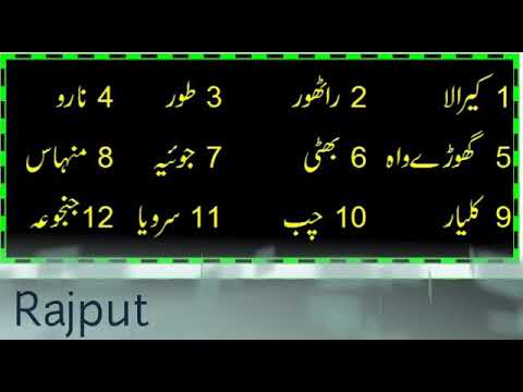 Rajput Sub caste list Part_1 || Rajput sub castes