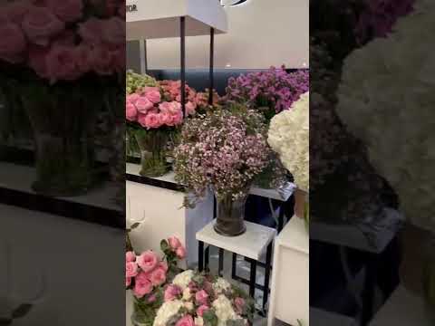 What the new at DFC? Qatar