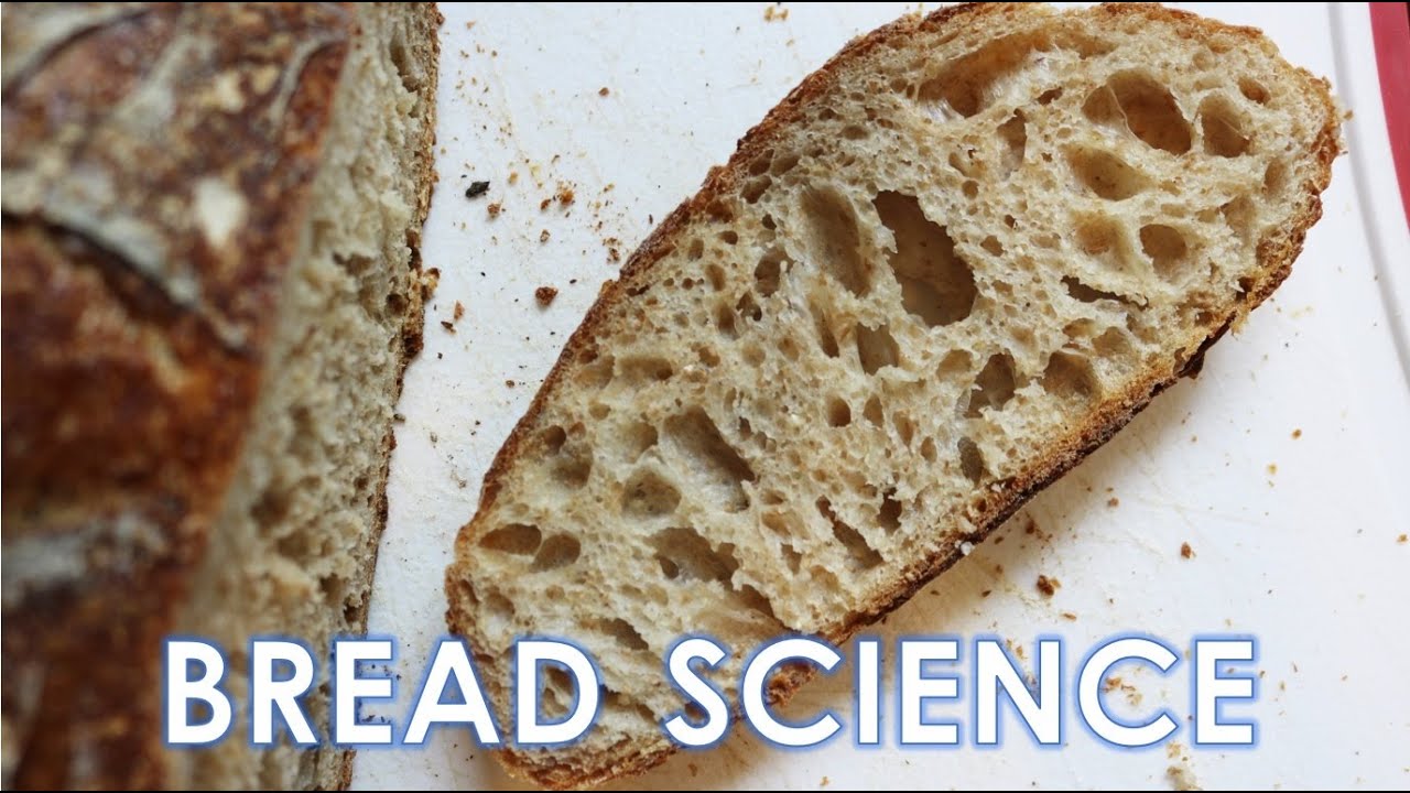 Bread Science (Part 1) - Flour Water Yeast Salt