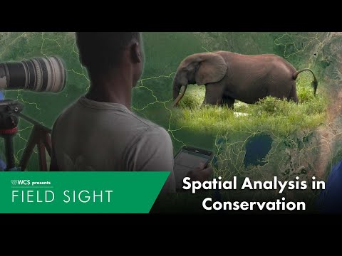 Spatial Analysis in Conservation