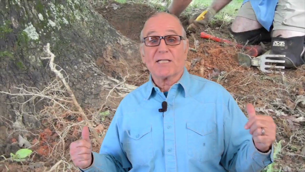 Tree Preservation Protocol for Everyone