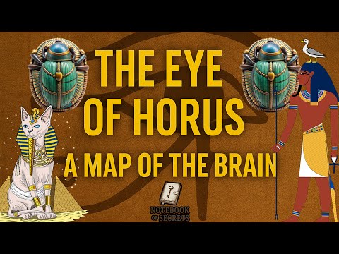 The Eye of Horus: A Map of the Brain Episode - 8