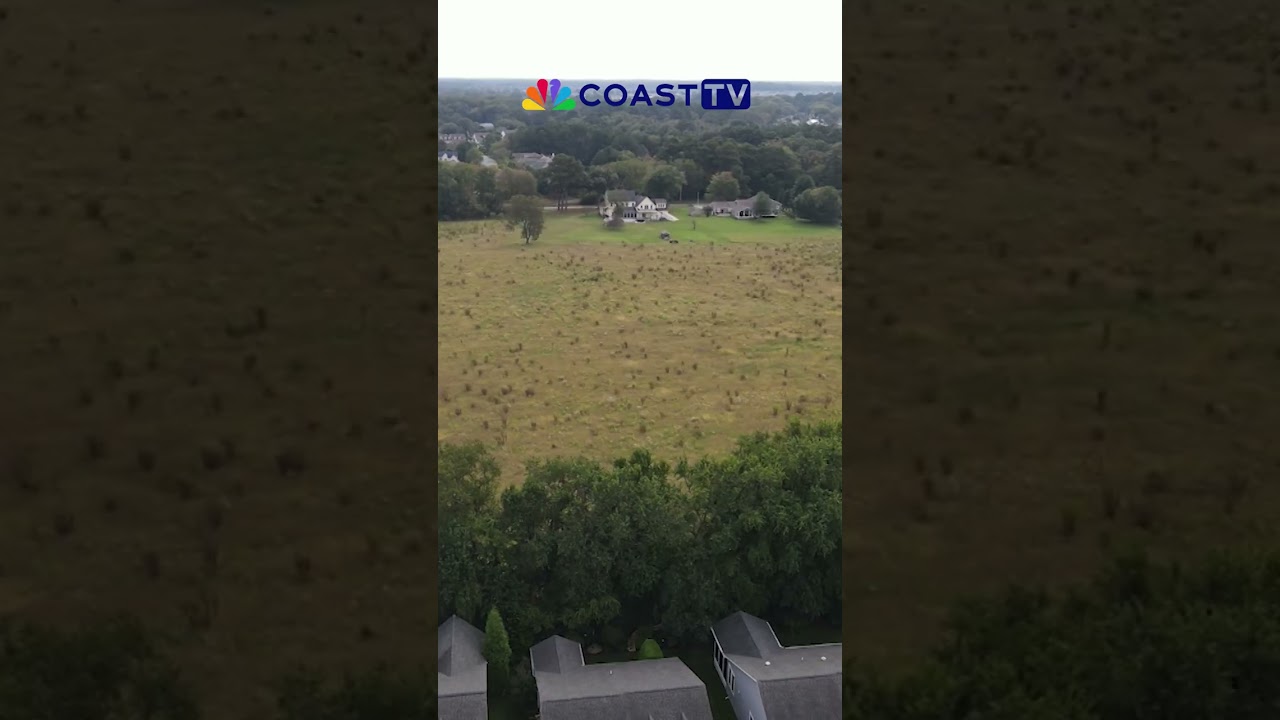 Lewes Reforestation Proposal