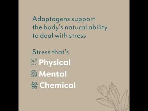 Wondering how adaptogenic herbs work - Grandmas Kadha