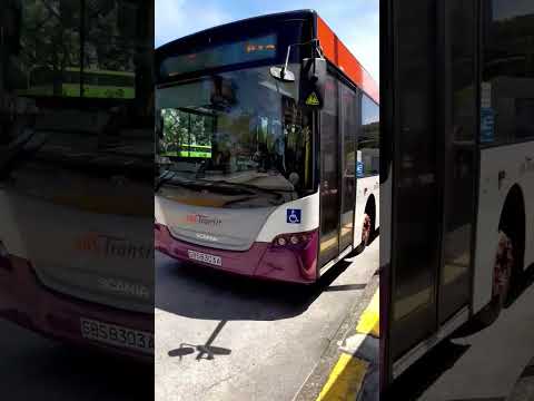 Shiny! SBS Transit Scania K230UB Euro 4 refurbished Departing bus stop with red wheel nuts SBS8303A