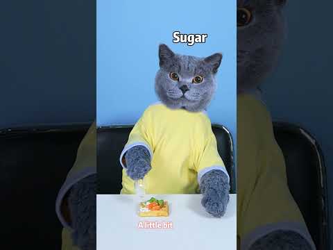 VENOM: A Good Cat Never Wastes Food!😮🤣 | Don't Waste Food #funnycat #catsoftiktok #shorts