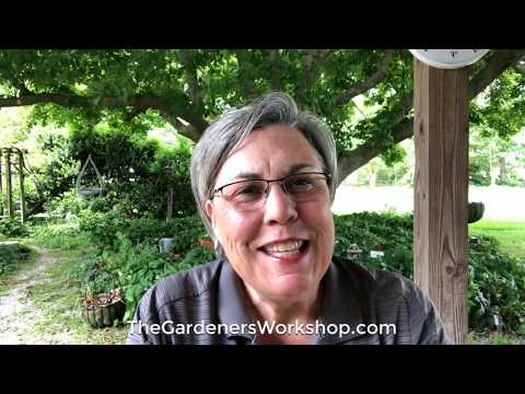 Lisa Live! Confessions of a Flower Farmer- Make the Most of Your Mistakes (May 4, 2019)