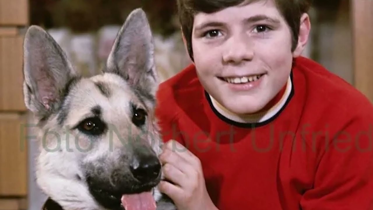 VOR 7 MINUTEN: Große Trauer um Heintje Simons – Seine Frau bestätigt ...