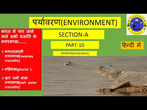 CROCODILE DIFFERENT SPECIES IN INDIA IN HINDI |GHARIAL DALDALI ,KHARE PANI WALA MAGARMCCH , UPSC