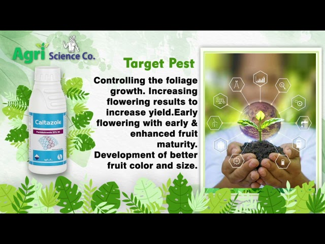 Bio Insecticide - Fungi Fighter Bio Formulation Liquid Manufacturer ...