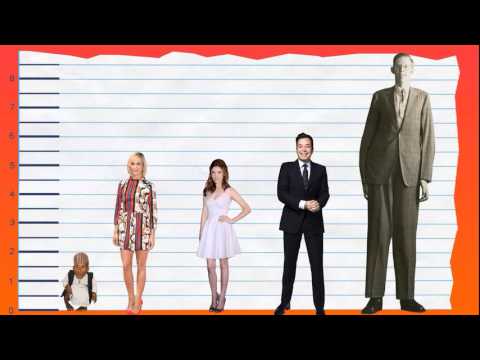 How Tall Is Kristen Wiig? - Height Comparison!