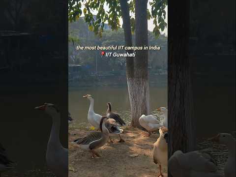 Dream of every JEE aspirant! IIT Guwahati โ๏ธ