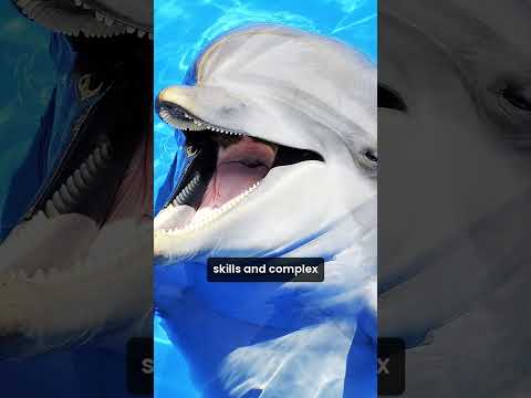 he Remarkable Intelligence of Bottlenose Dolphins: They Name Themselves