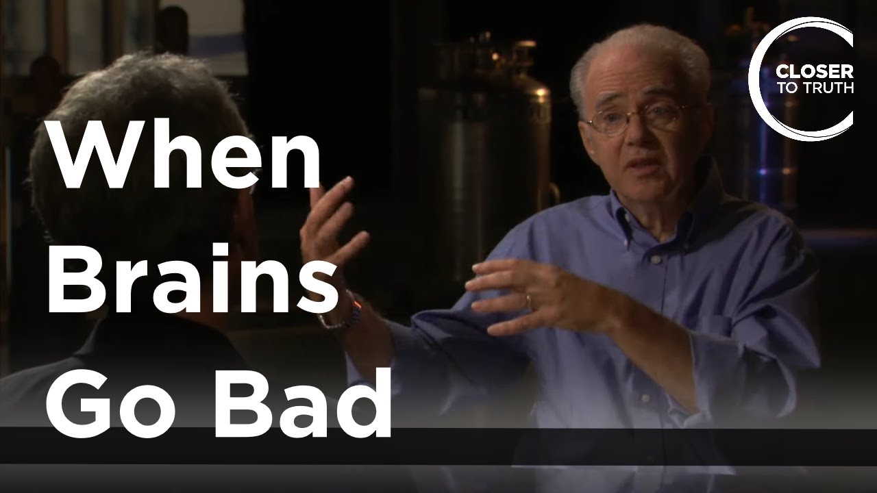 Robert Stickgold - When Brains Go Bad