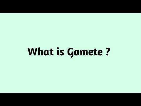 What is Gamete ?