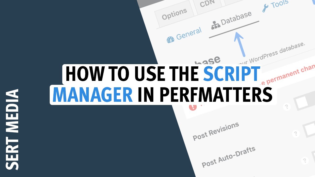 Script Manager Tutorial 2020 - How To Cleanup WordPress Plugin Assets Using Perfmatters Plugin