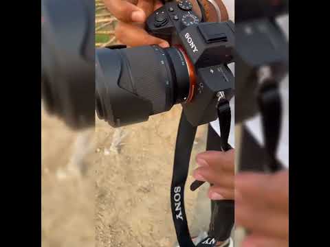 Sony new camera 5200 D #shorts #shortfeed #trending #viral
