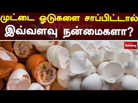 முட்டை ஓடுகளை சாப்பிட்டால் இவ்வளவு நன்மைகளா? | Egg shell | Web Special | Sathiyam Tv