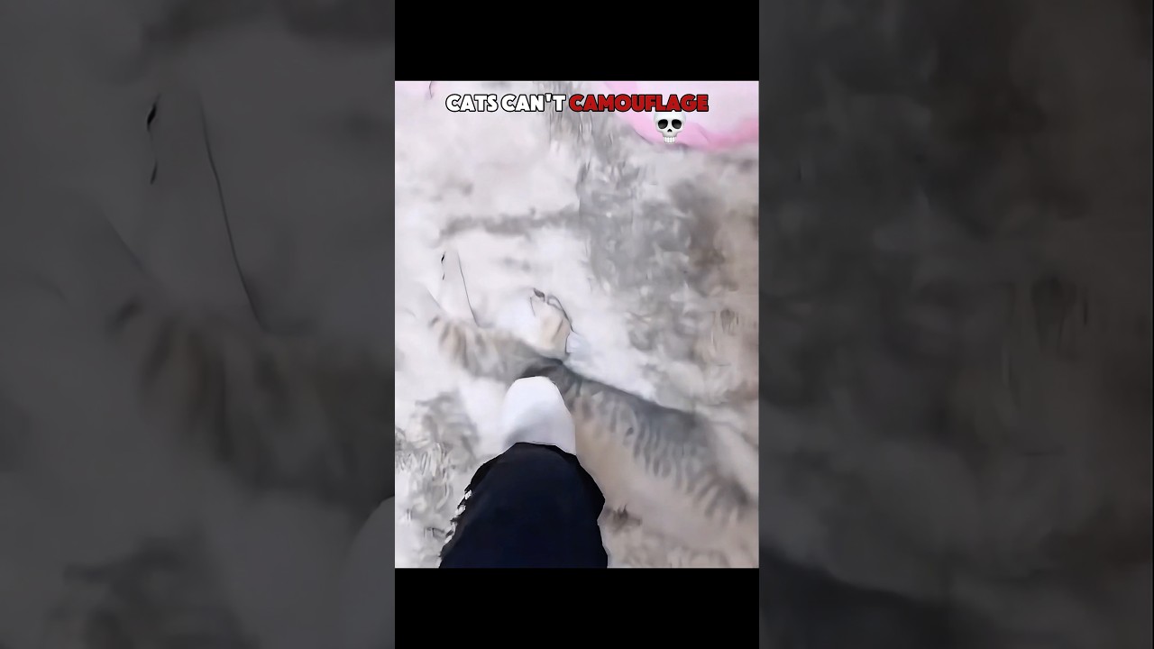 Cats can't camouflage?