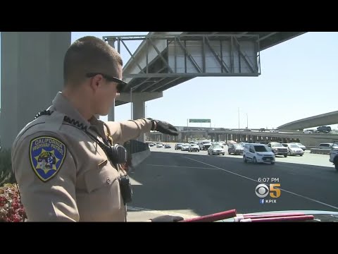 Chp 555 03 - Fill Out and Sign Printable PDF Template | SignNow