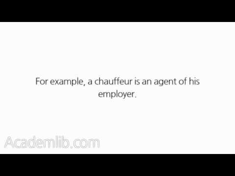 What is an independent contractor, and what is an agent?
