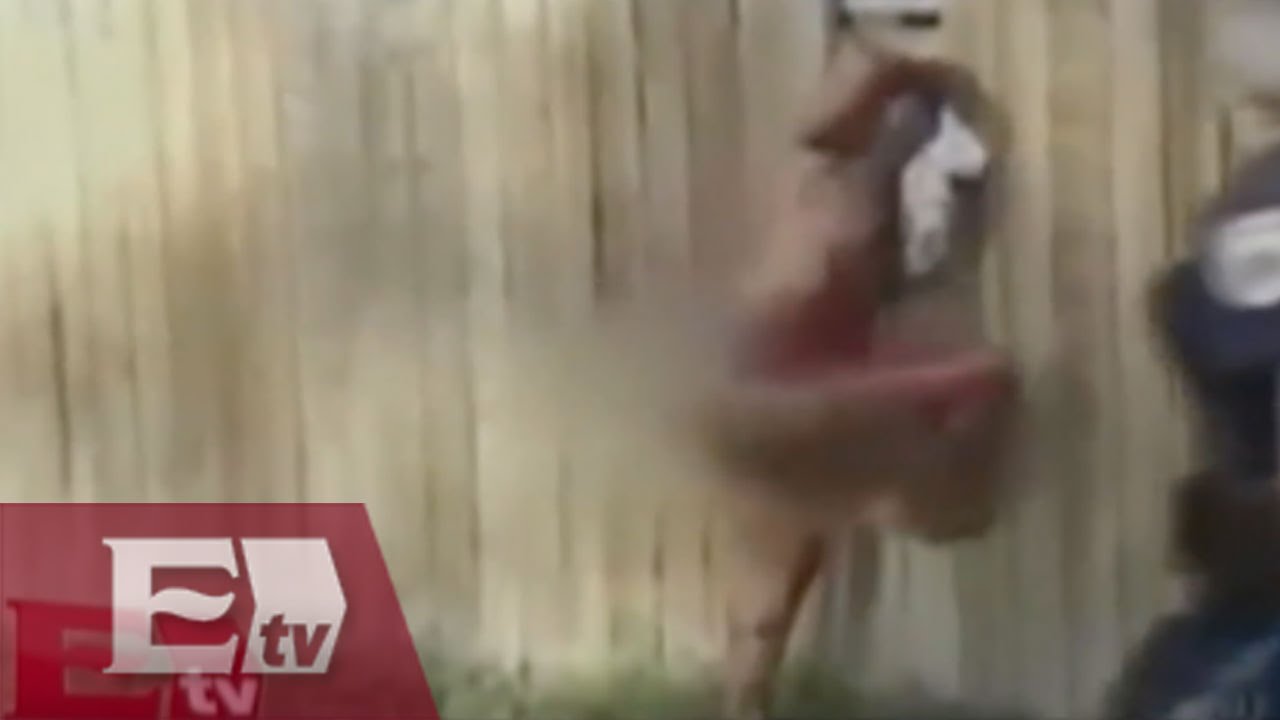 Los devastadores efectos de la marihuana sintética / Excélsior informa