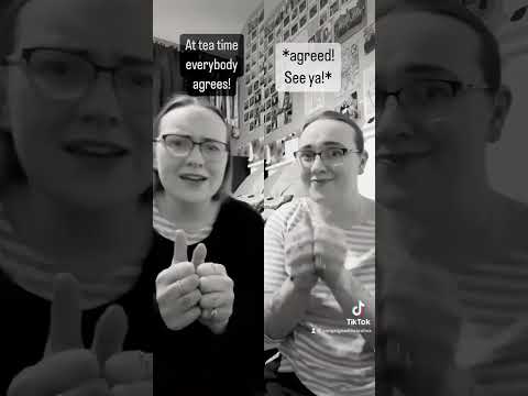 #AntiHero #TaylorSwift #BSL #britishsignlanguage #signlanguage #SSE #inclusion #swiftie #inclusion