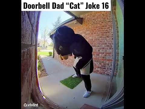 Doorbell Dad “Cat” Joke 16 #comedy #dad #dadjokes #doorbell #doorbellcamera #vivint #porchpirate