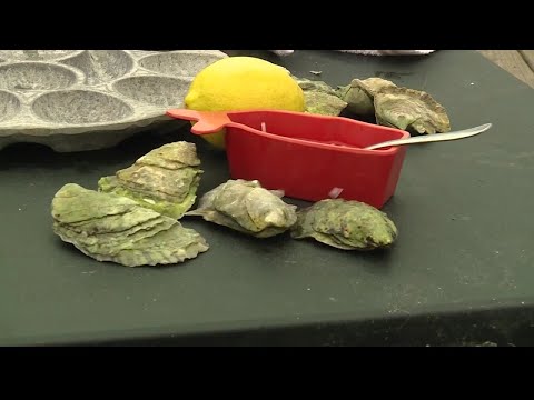Maine Menu: Nonesuch Oysters