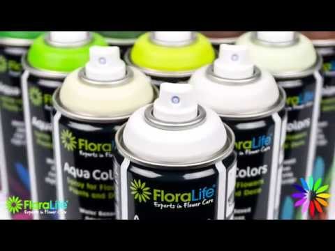 Floralife® Aqua Color Spray - Basics