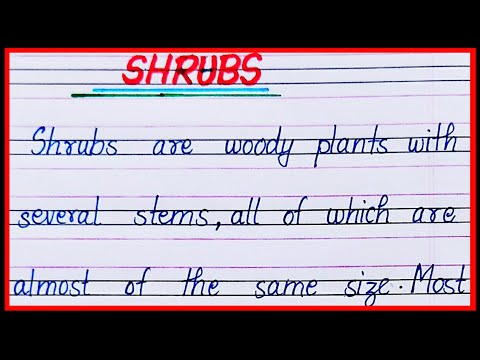 What are shrubs | Definition of shrubs plants | Shurbs kise kahate hain