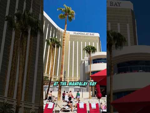 3 Things We LOVE About Mandalay Bay Hotel & Casino | Las Vegas Strip