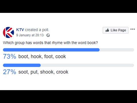 Words that rhyme with book
