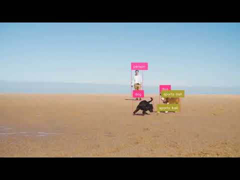 Video Data Annotation for AI & Machine Learning | Wisepl | #datalabeling #dataannotation