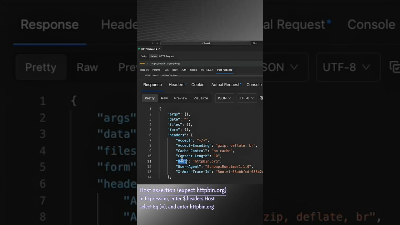 EchoAPI Feature Showcase: Visual Assertions in 30 Seconds #api #coding #apitesting #programming