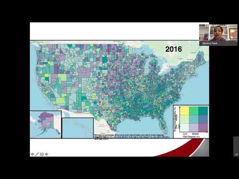Structural Inequities and Diabetes: Challenges and Solutions presented by Monica Peek, M.D., M.P.H.