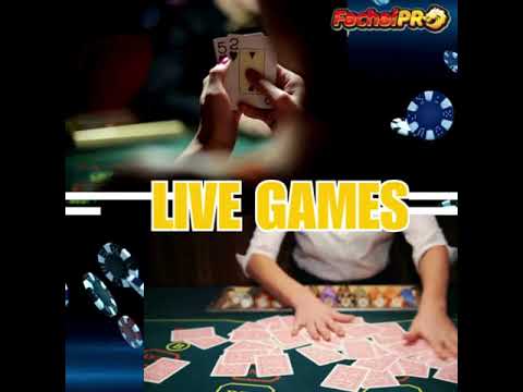 Fachaipro is the new legitimate online casino in 2024.