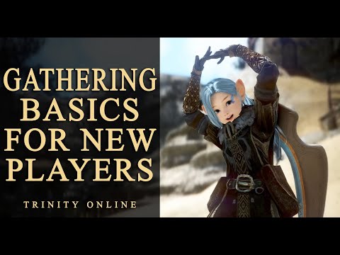 [Game Play] GATHERING GUIDE for New Adventurers | Black Desert Asia (TH ...