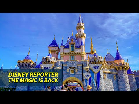 The Magic is Back - DISNEY Reporter